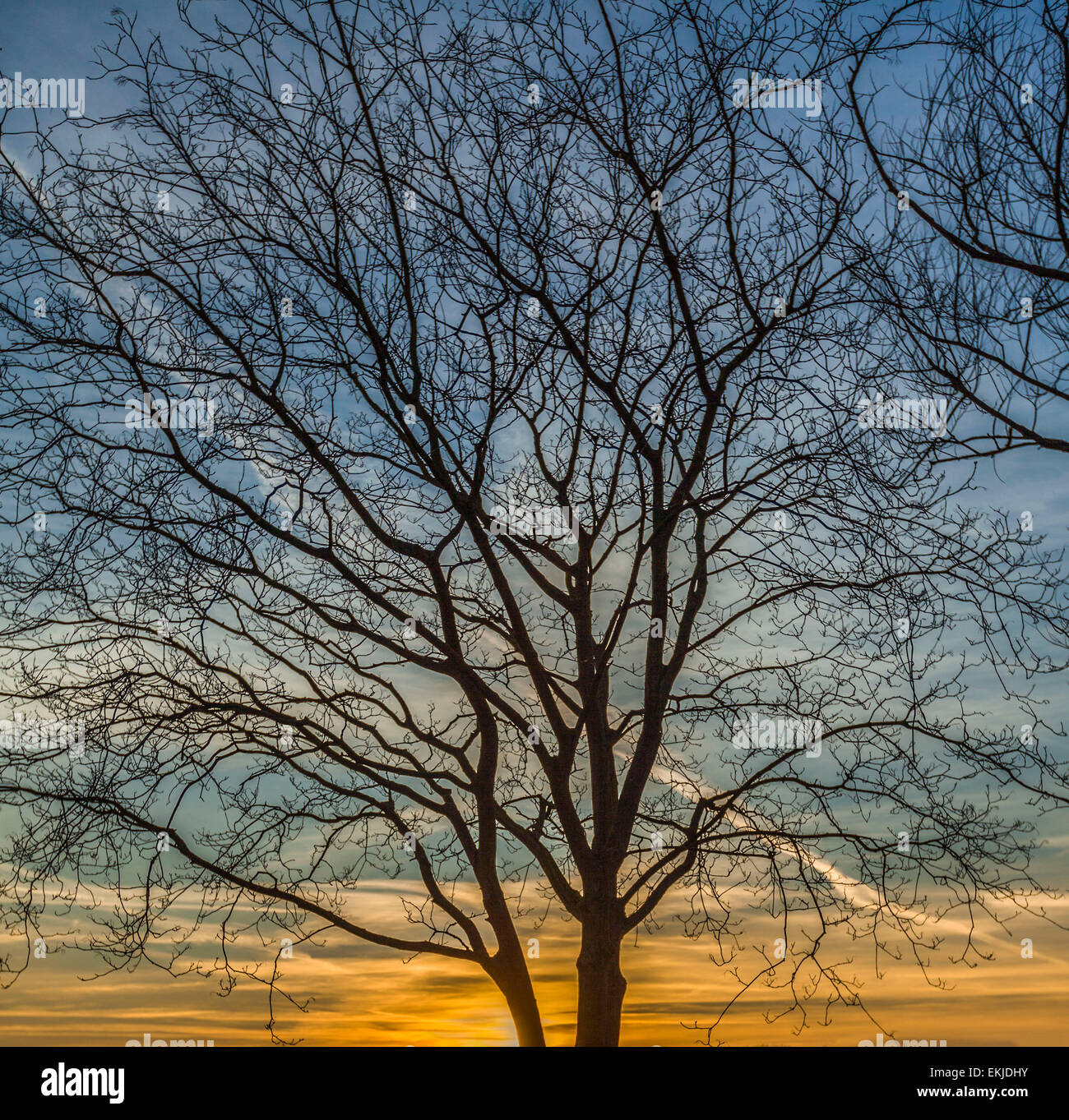 Landscape photograph of Byron park in Harrow, London Stock Photo - Alamy