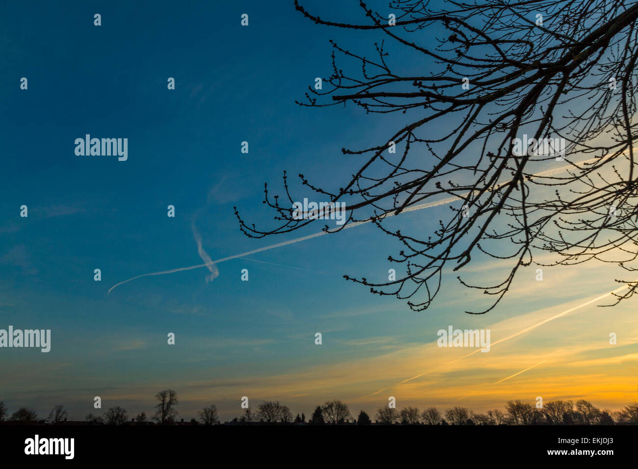 Silhouette Landscape photograph of Byron park in Harrow, London Stock ...