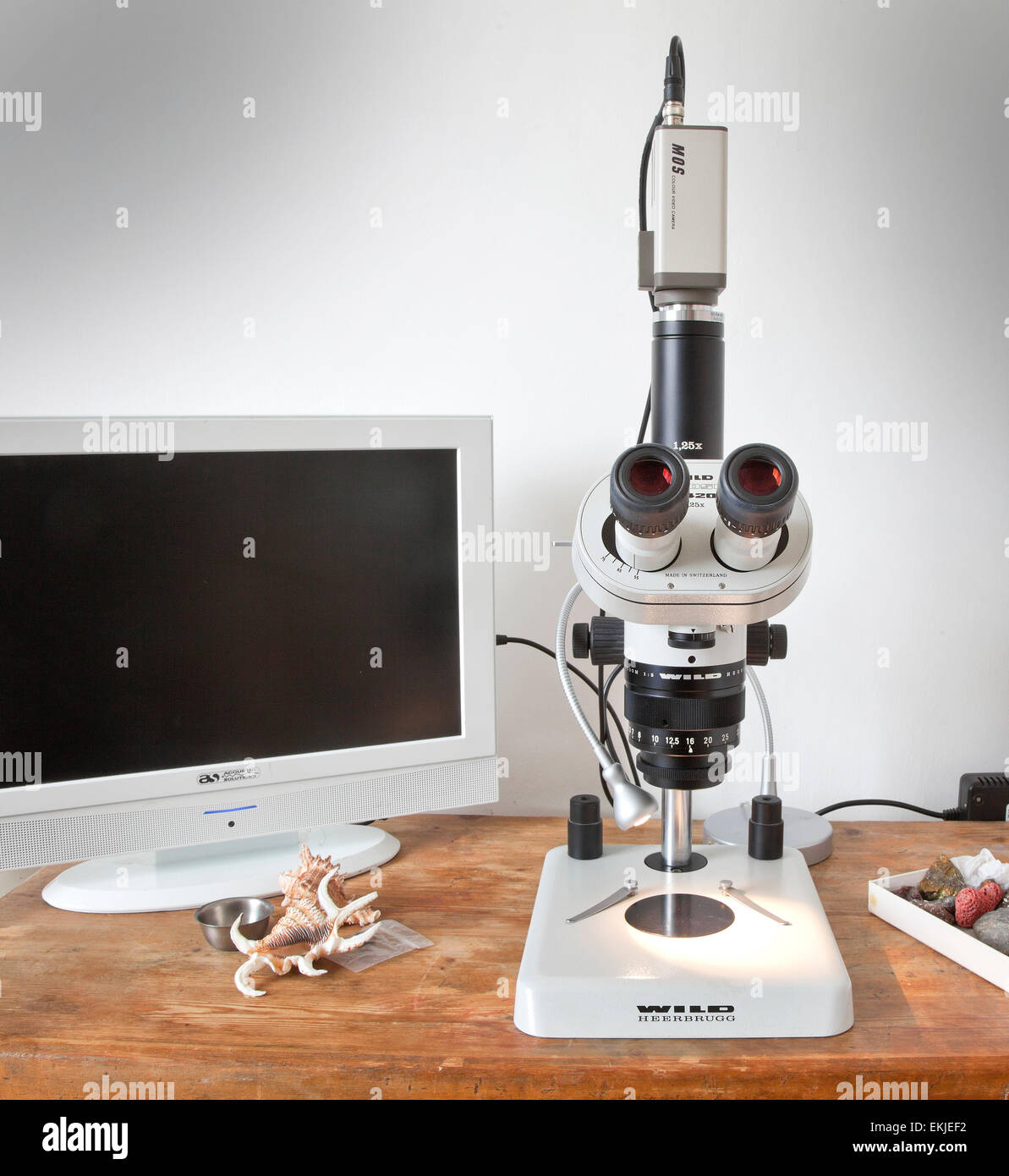 Wild Leica M420 macroscope microscope, with video camera Stock Photo - Alamy