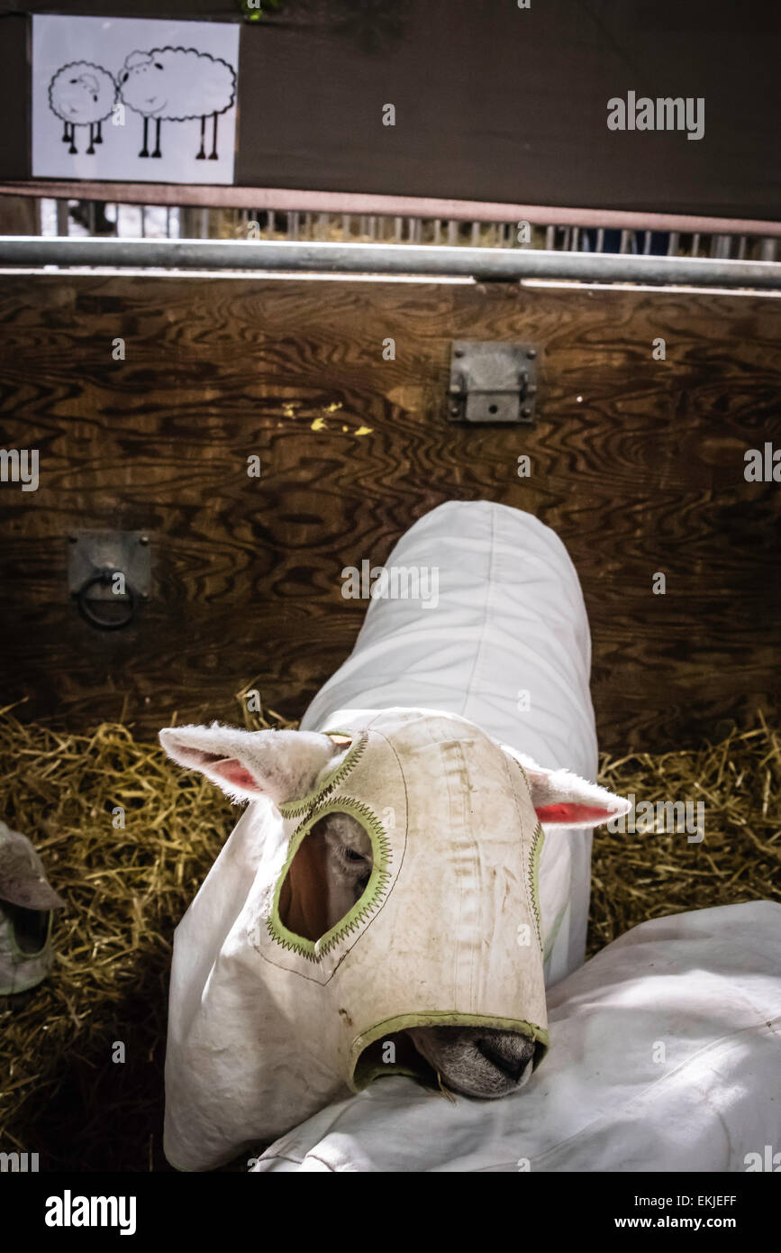 The Pennsylvania Farm Show Complex & Expo Center was built upon ...