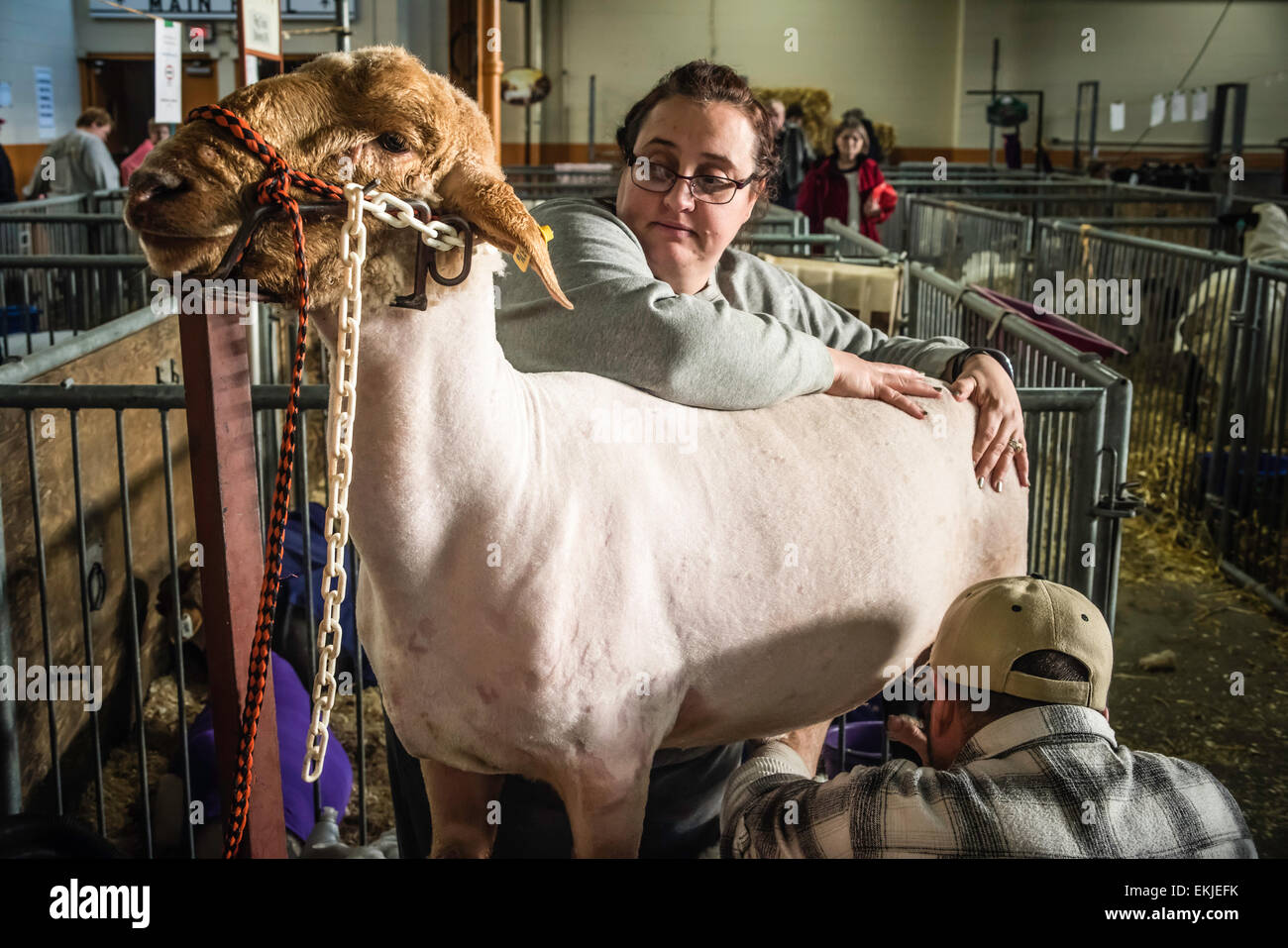 The Pennsylvania Farm Show Complex & Expo Center was built upon ...