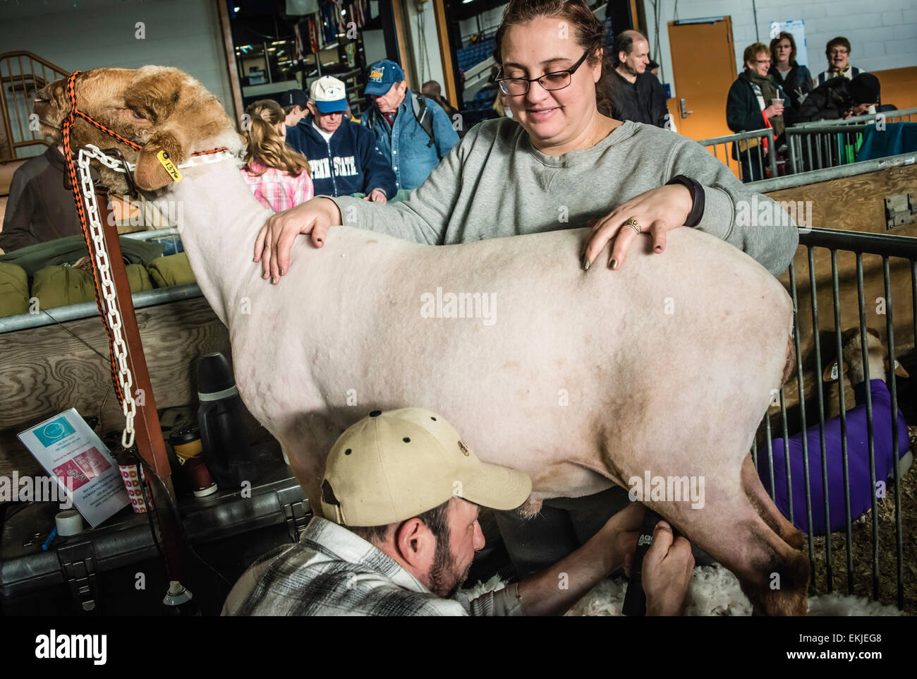 The Pennsylvania Farm Show Complex & Expo Center was built upon ...