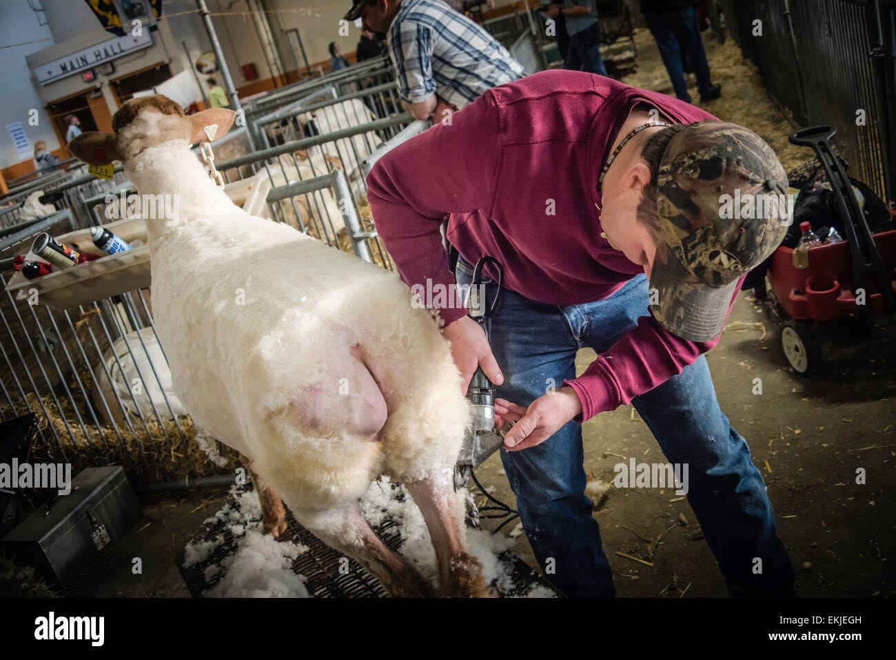 The Pennsylvania Farm Show Complex & Expo Center was built upon ...