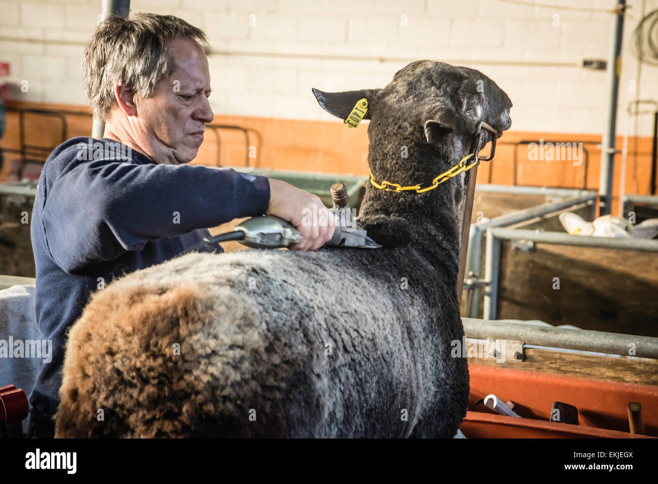 The Pennsylvania Farm Show Complex & Expo Center was built upon ...