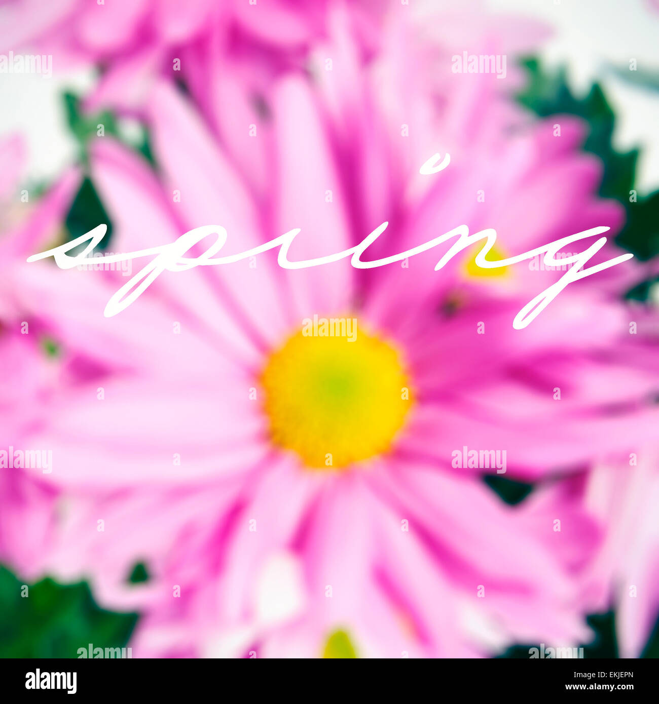 Word spring written flowers hi-res stock photography and images - Alamy