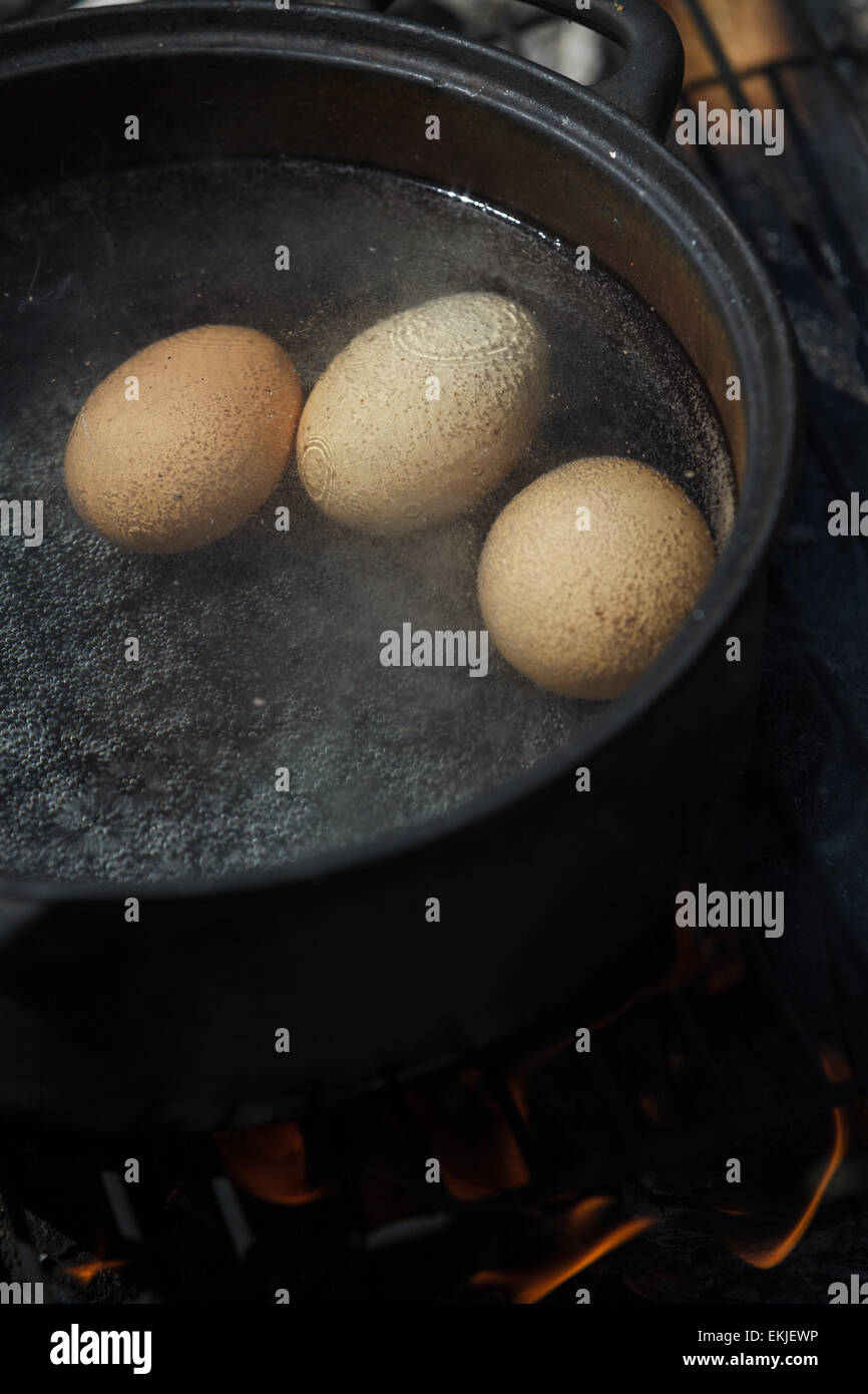 Eggs in a Cast Cauldron full Boiling Water on a Camping Fire Stock ...