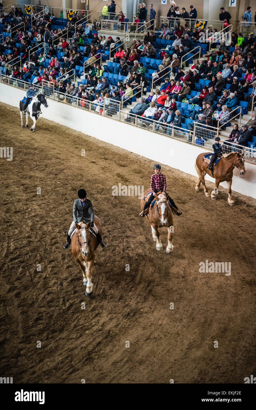 Pennsylvania farm show complex and expo center hi-res stock photography ...