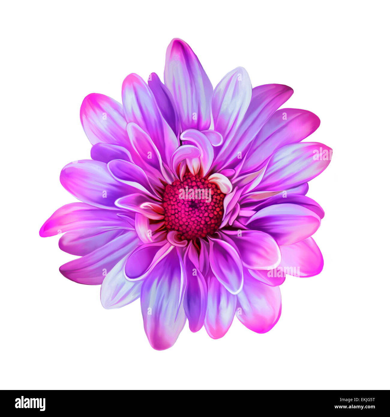 Bright Mona Lisa flower, Spring flower.Isolated on white background ...