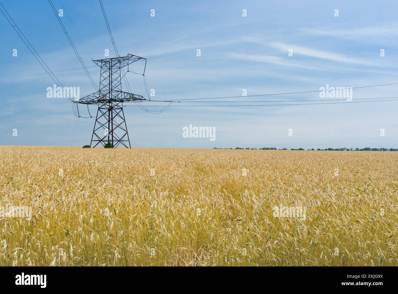 Angle strain transmission tower in wheat field in Ukraine Stock Photo ...
