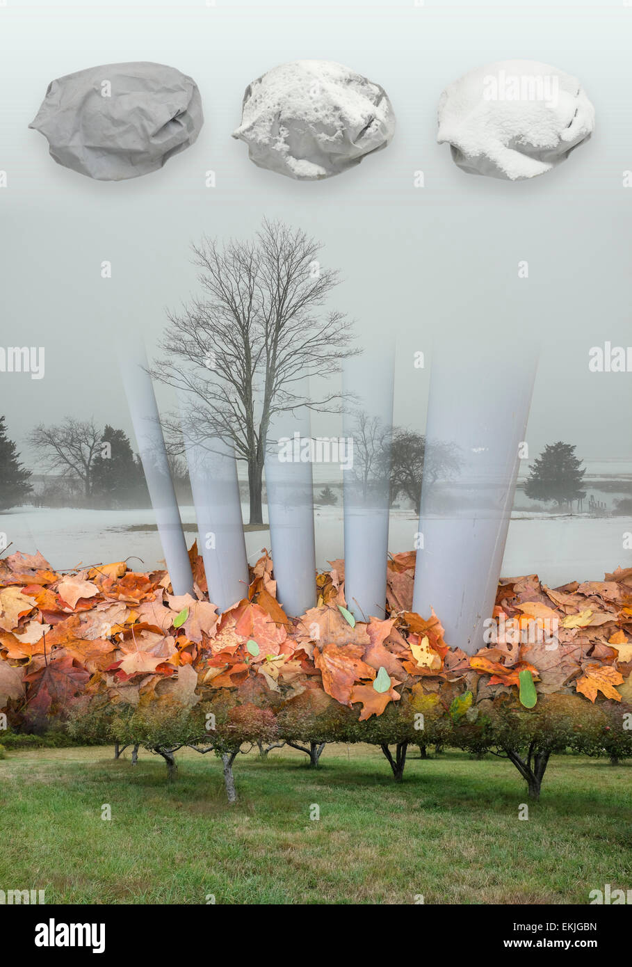 Orchard Leaves Pipes Snow Stock Photo - Alamy