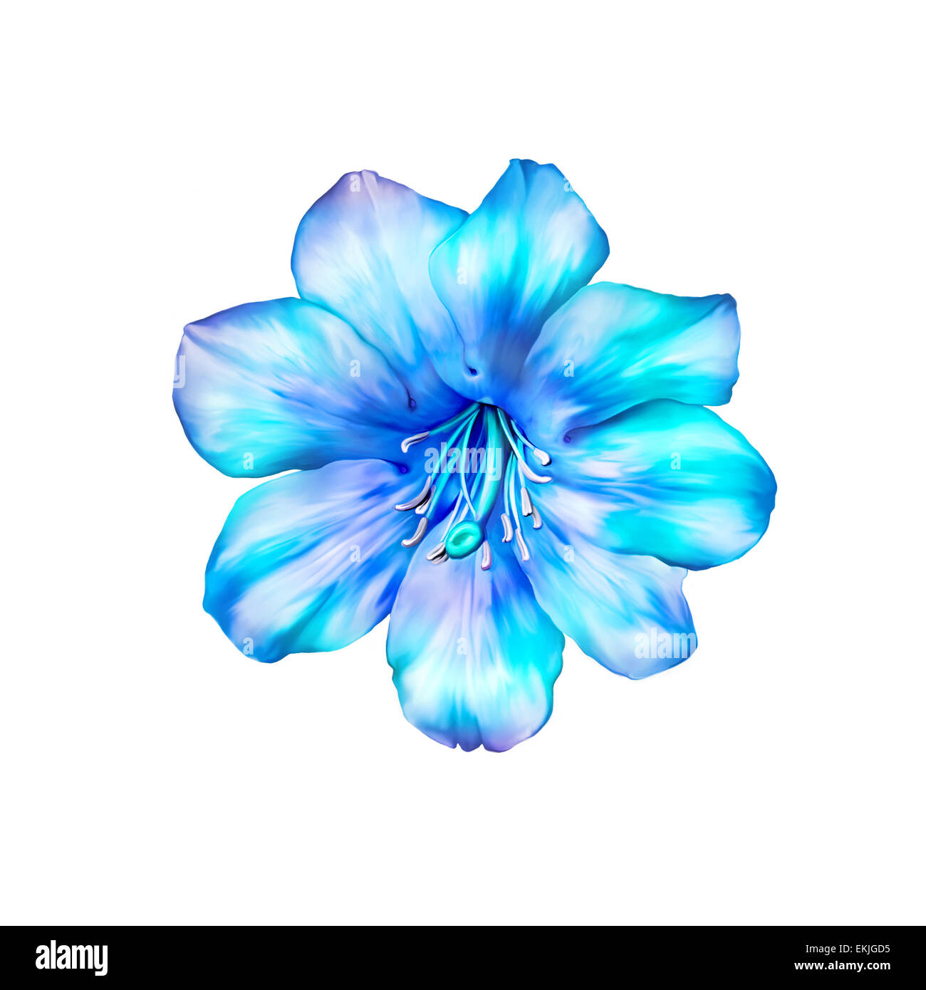 Beautiful bright blue Flower. Isolated on white. Illustration Stock ...