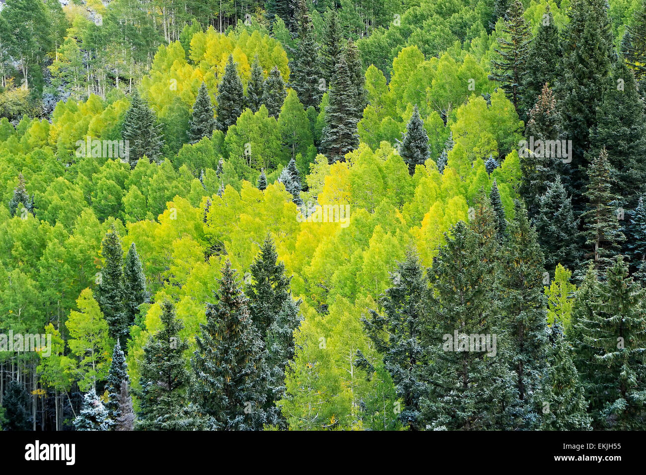 Colorado usa sneffels range hi-res stock photography and images - Alamy