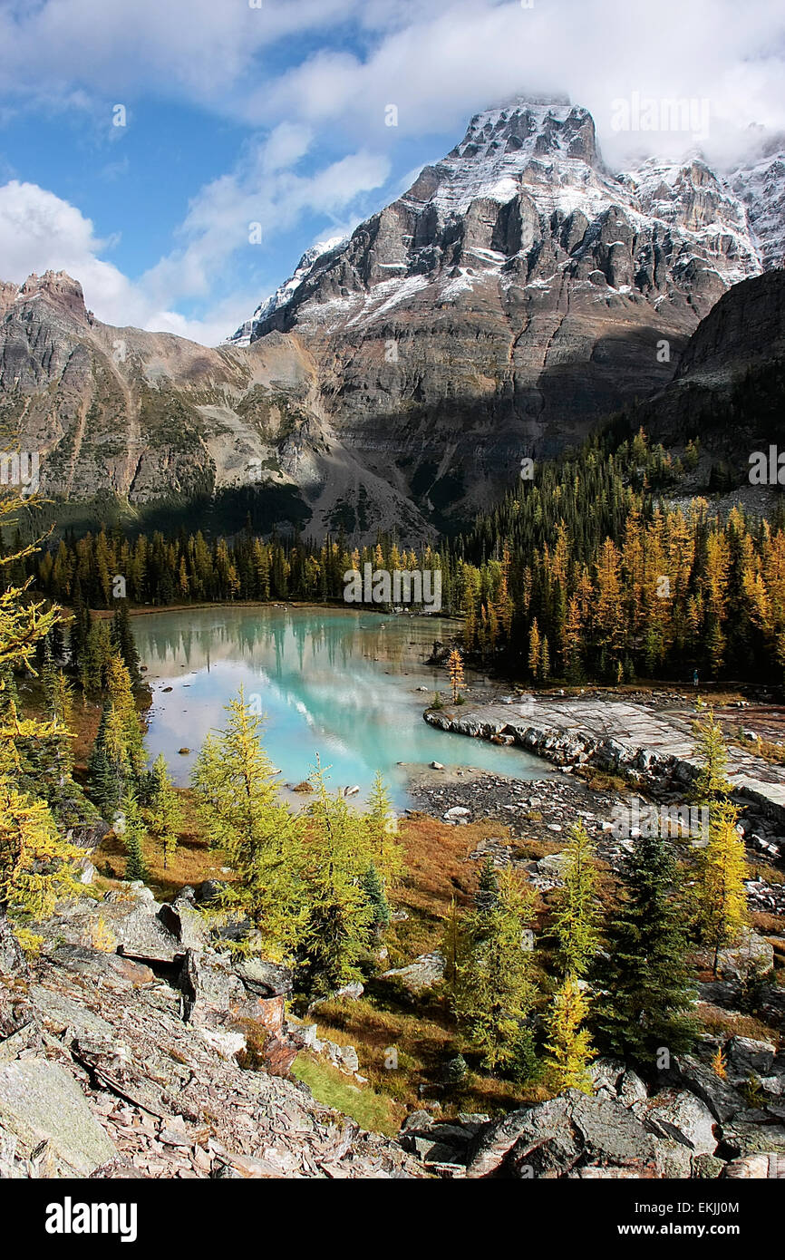 Mount Huber and Opabin Plateau, Yoho National Park, British Columbia ...