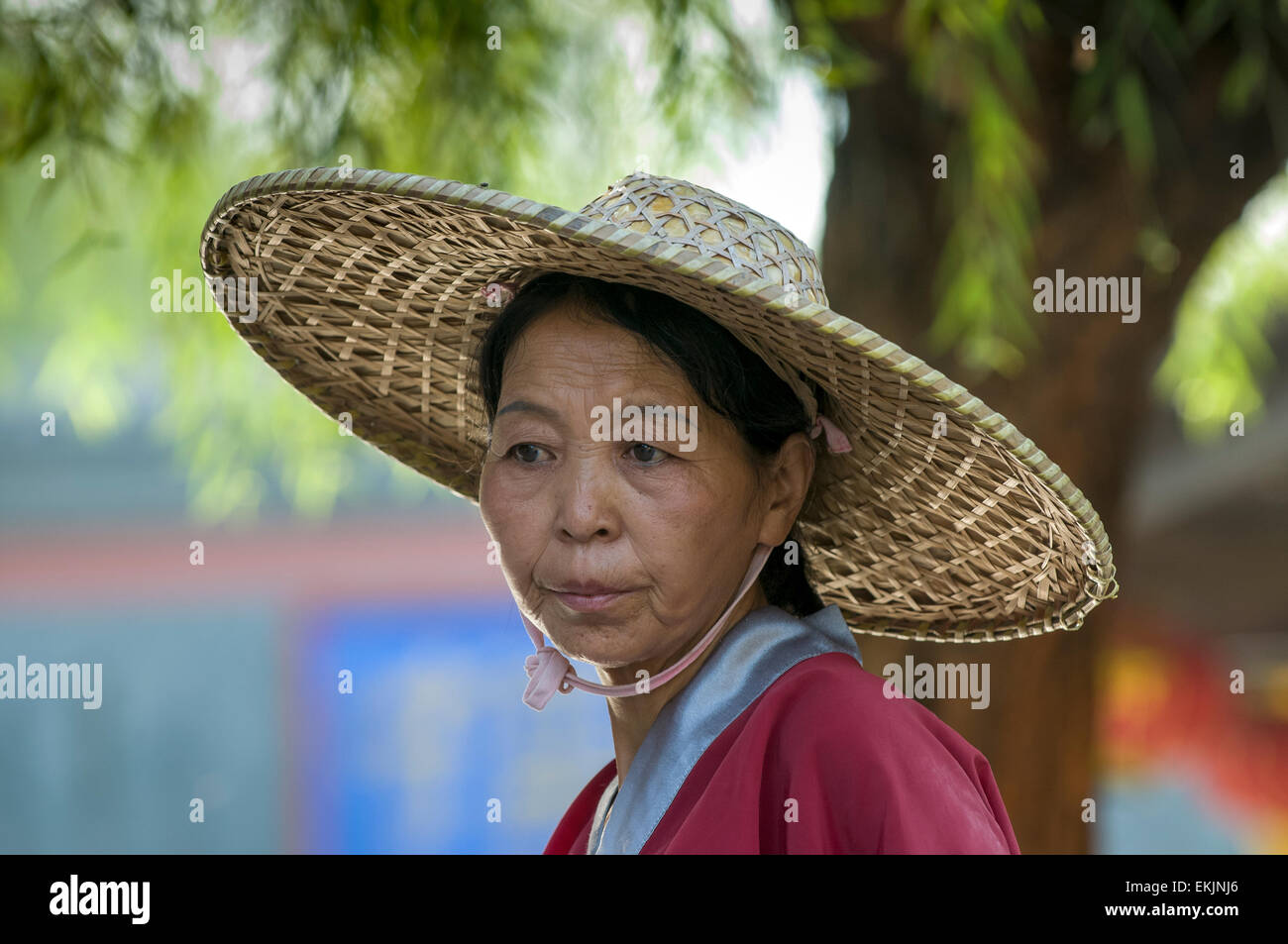 Actor dressed as historic peasant worker at the Emperor's Palace Park ...