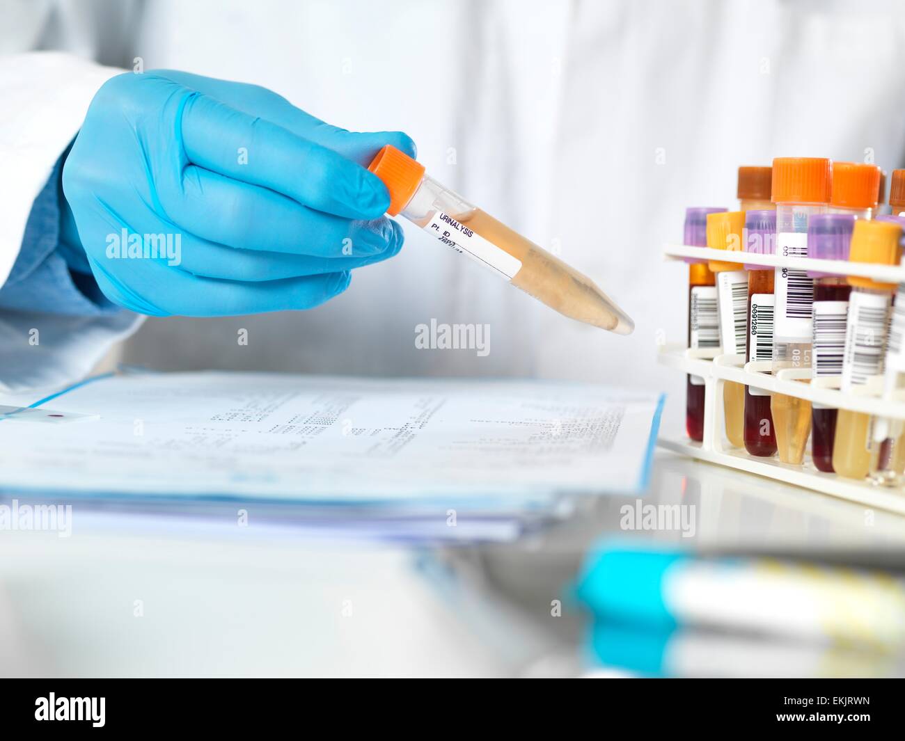 healthcare, medical, medicine, sample, specimen, test, testing, urine ...