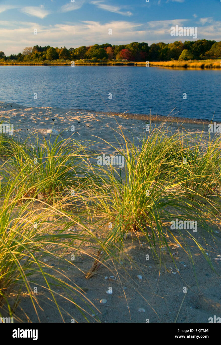 Estuary with dunegrass, Griswold Point Preserve (Nature Conservancy ...