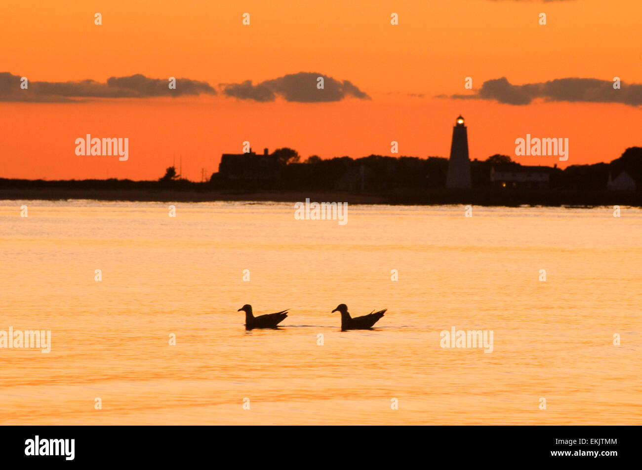 Saybrook point lighthouse hi-res stock photography and images - Alamy
