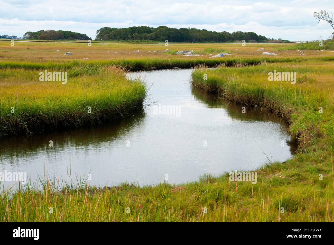 Salt water marsh, Barn Island Wildlife Management Area, Connecticut ...