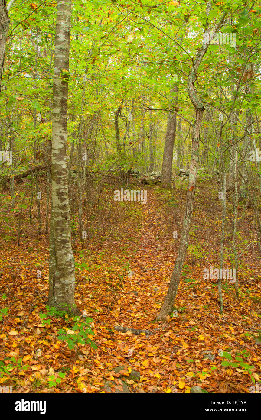 Selden neck preserve hi-res stock photography and images - Alamy