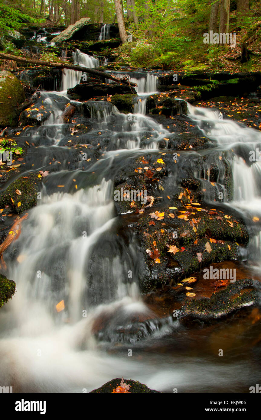 Day Pond Brook Falls, Salmon River State Forest, Connecticut Stock ...