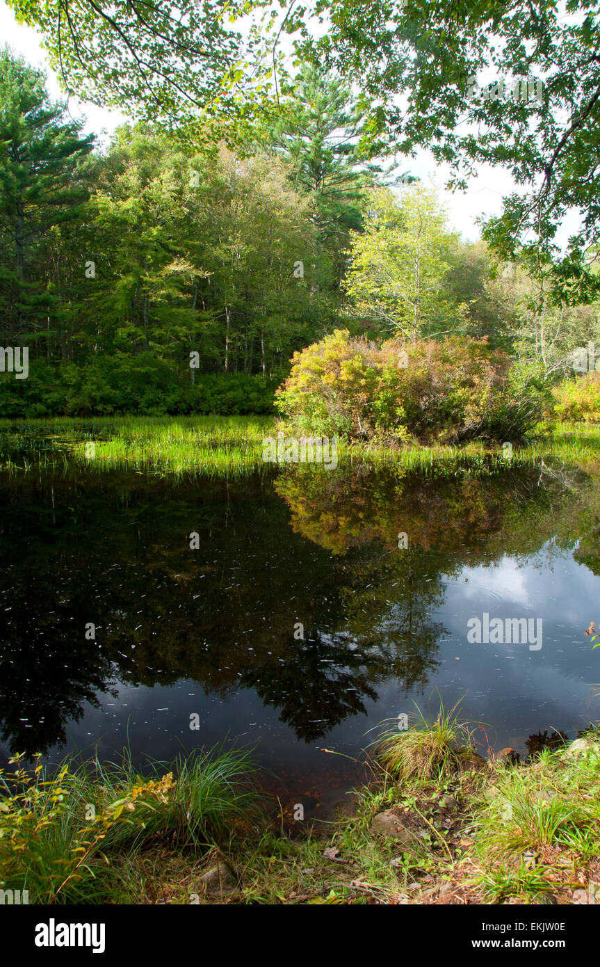 Pachaug trail hi-res stock photography and images - Alamy