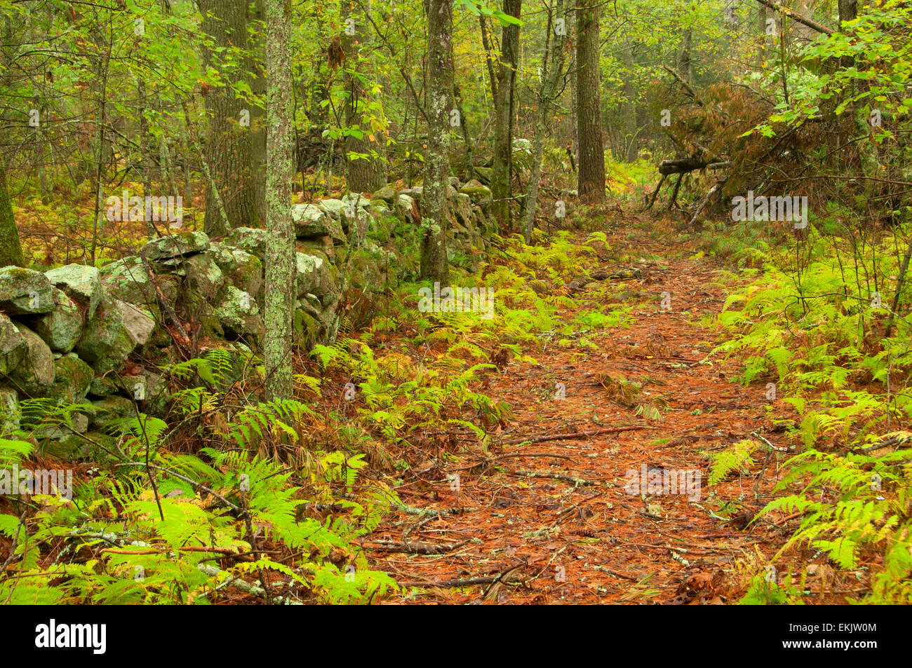 Nehantic trail hi-res stock photography and images - Alamy