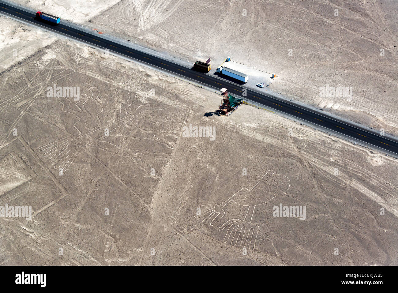 Nazca Lines geoglyphs of hands and a tree by the highway and a ...