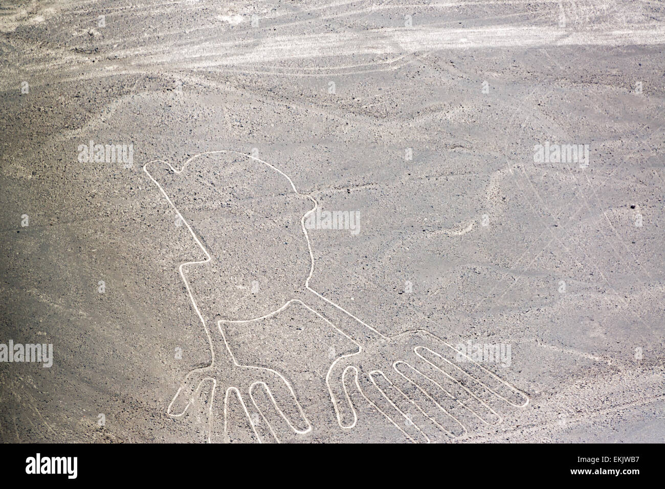 Nazca Lines hands in Peru. Sometimes referred to as frog Stock Photo ...