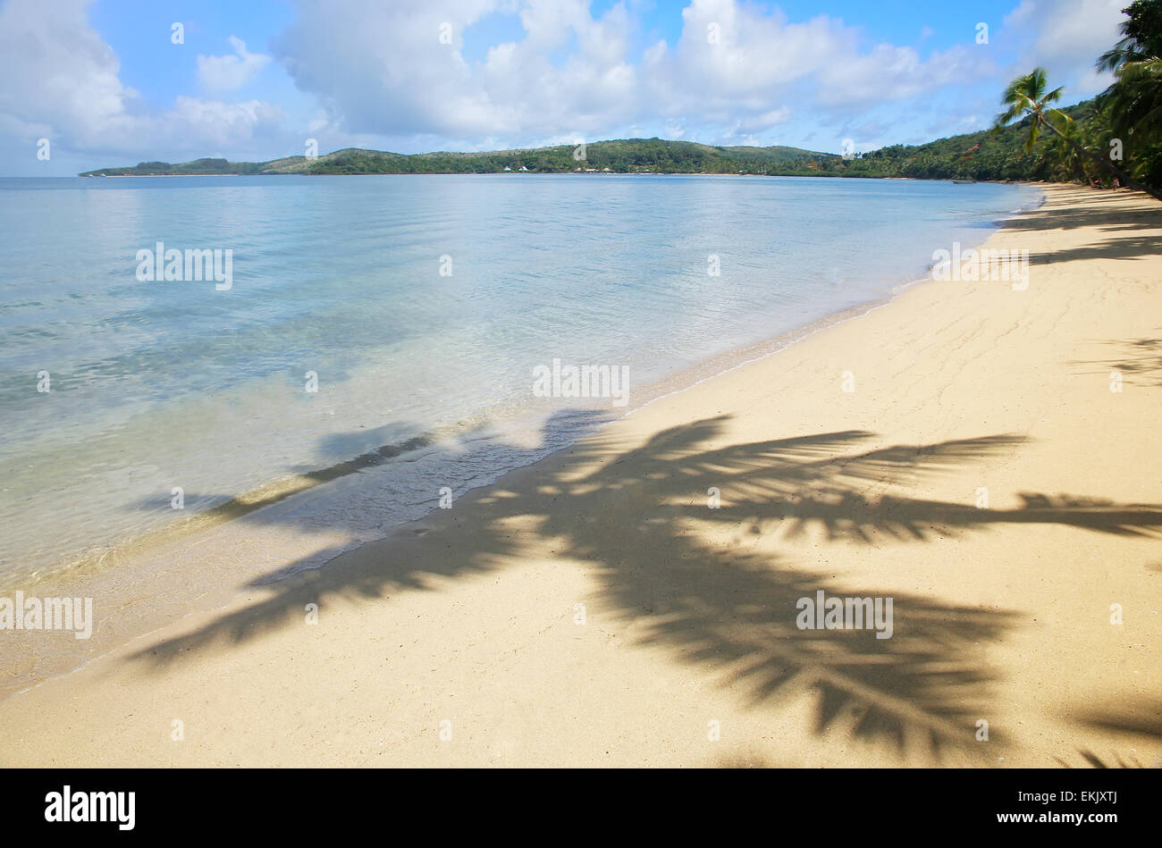 Sandy beach with palm tree shadows, Nananu-i-Ra island, Fiji, South ...