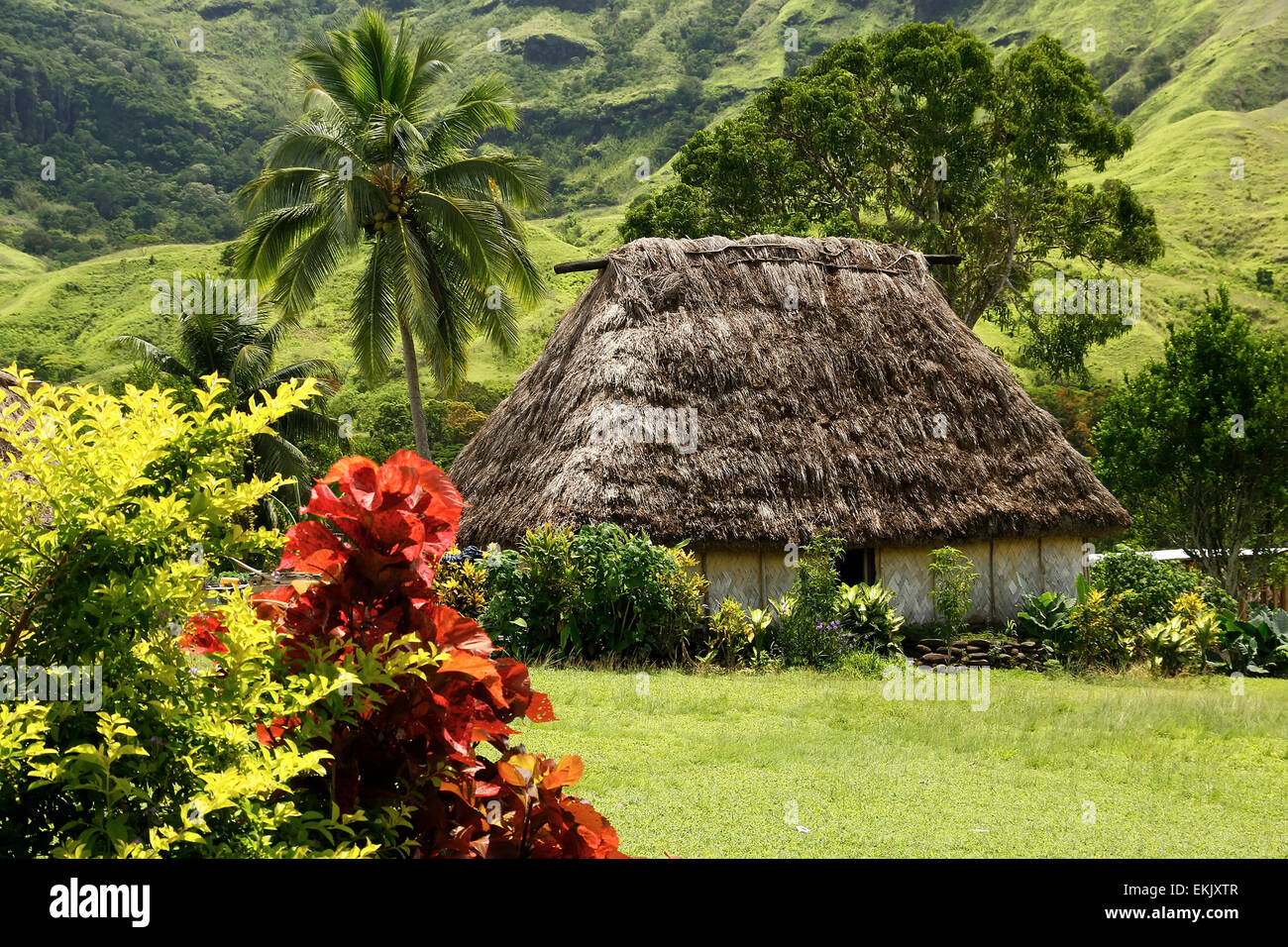 Traditional house of Navala village, Viti Levu island, Fiji Stock Photo ...
