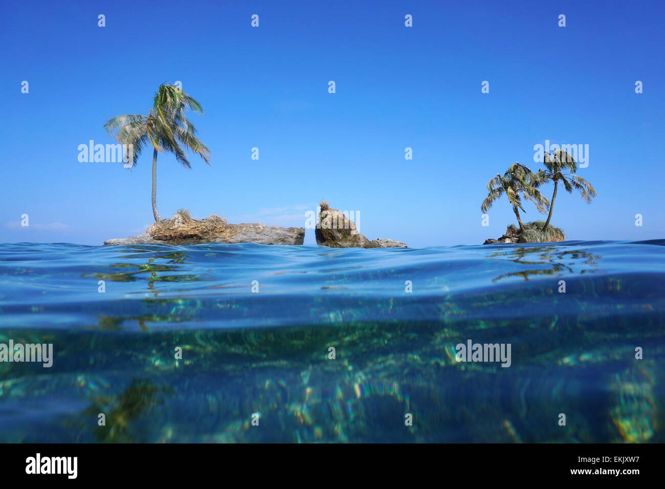Small islets with coconut tree viewed from sea surface, Zapatillas ...
