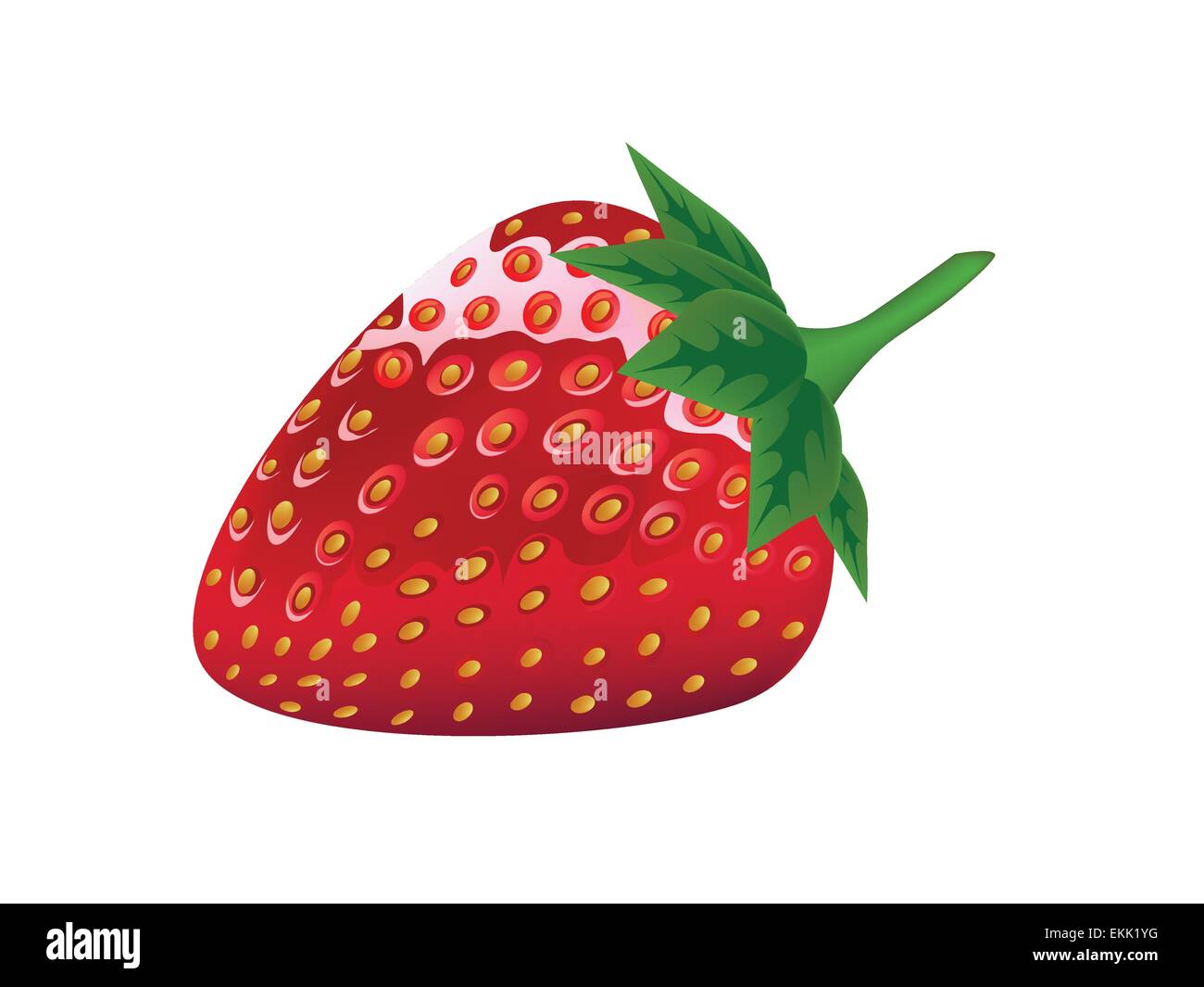 beautiful strawberries. vector illustration of a realistic Stock Vector ...
