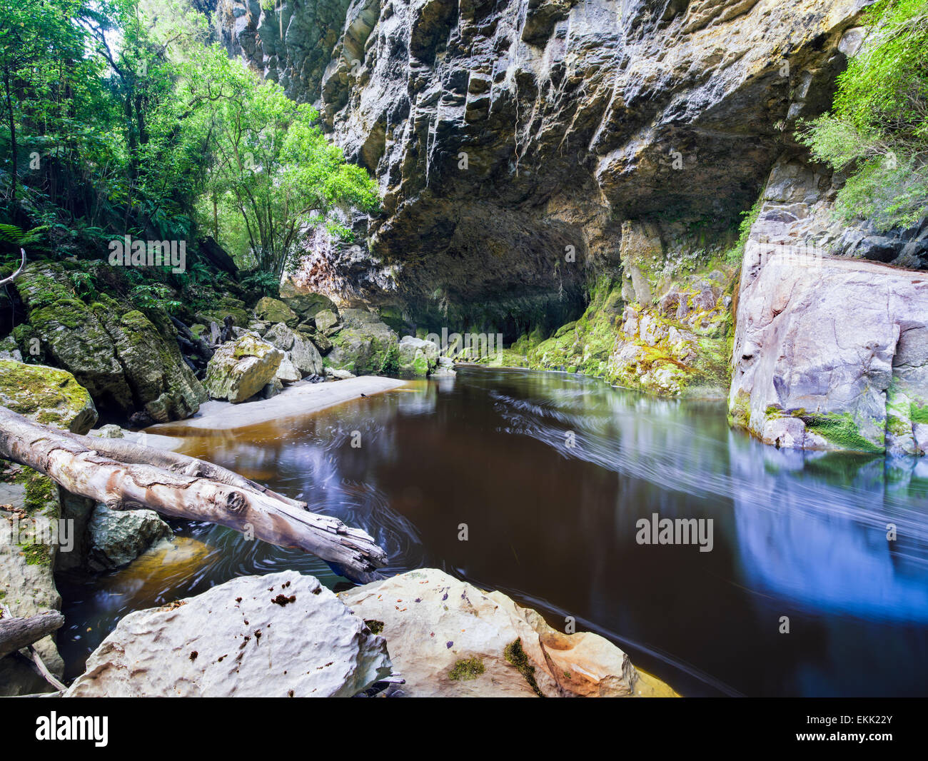 Oparara river hi-res stock photography and images - Alamy