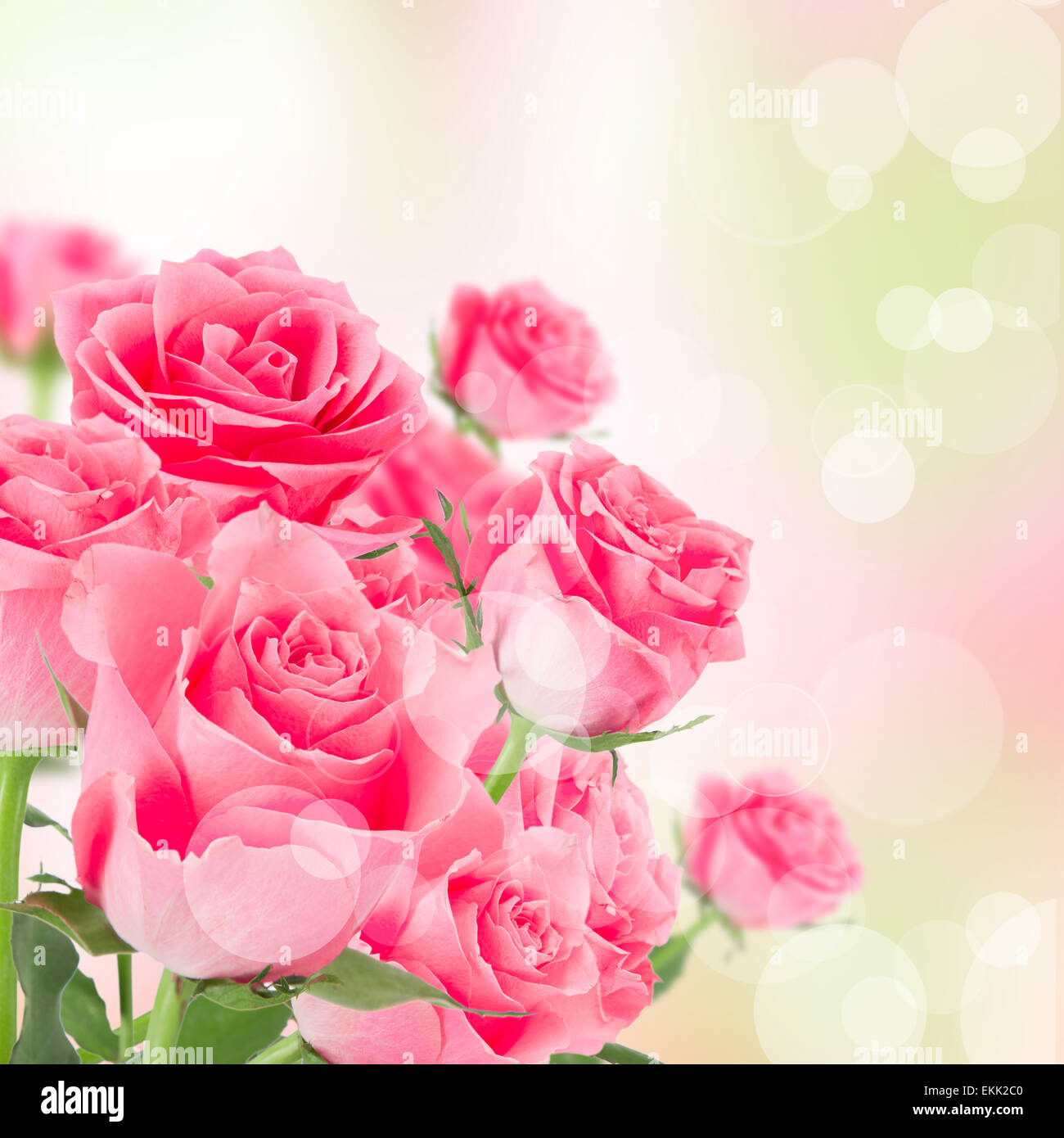 Roses background hi-res stock photography and images - Alamy
