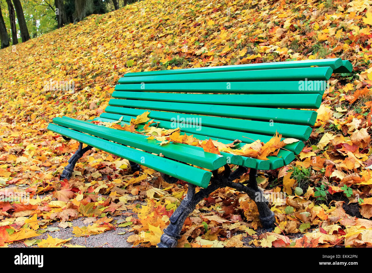 Green bench in a beautiful autumn park Stock Photo - Alamy