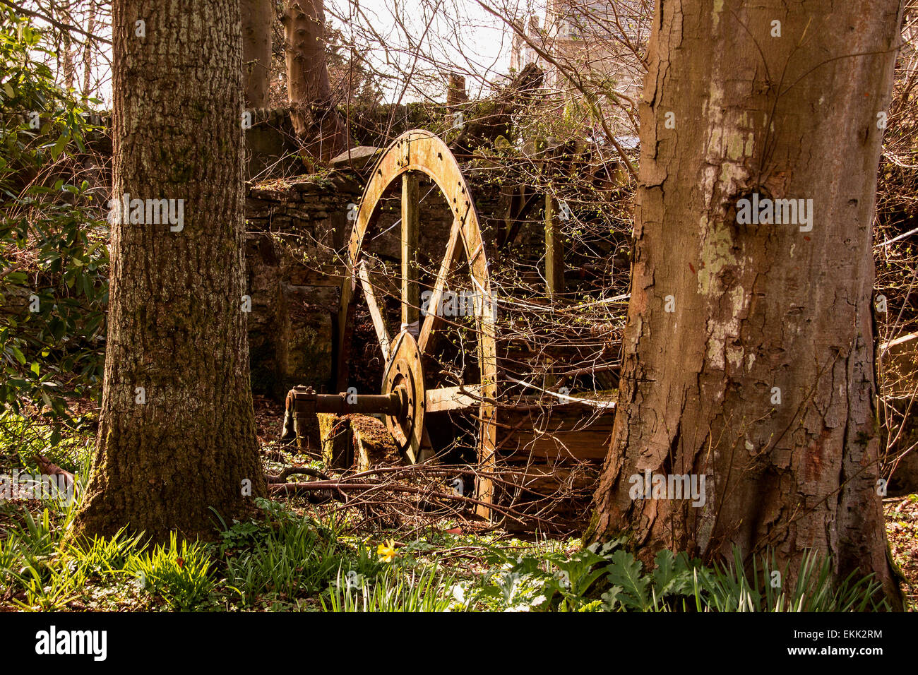 Old run down Waterwheel and Watermill on the Dighty burn at ...
