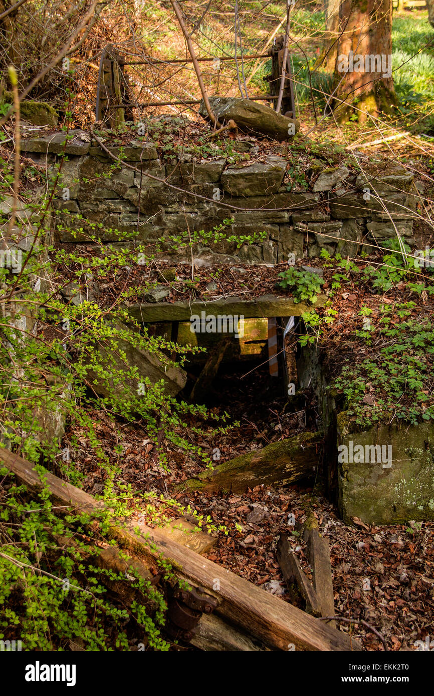 Old run down Waterwheel and Watermill on the Dighty burn at ...