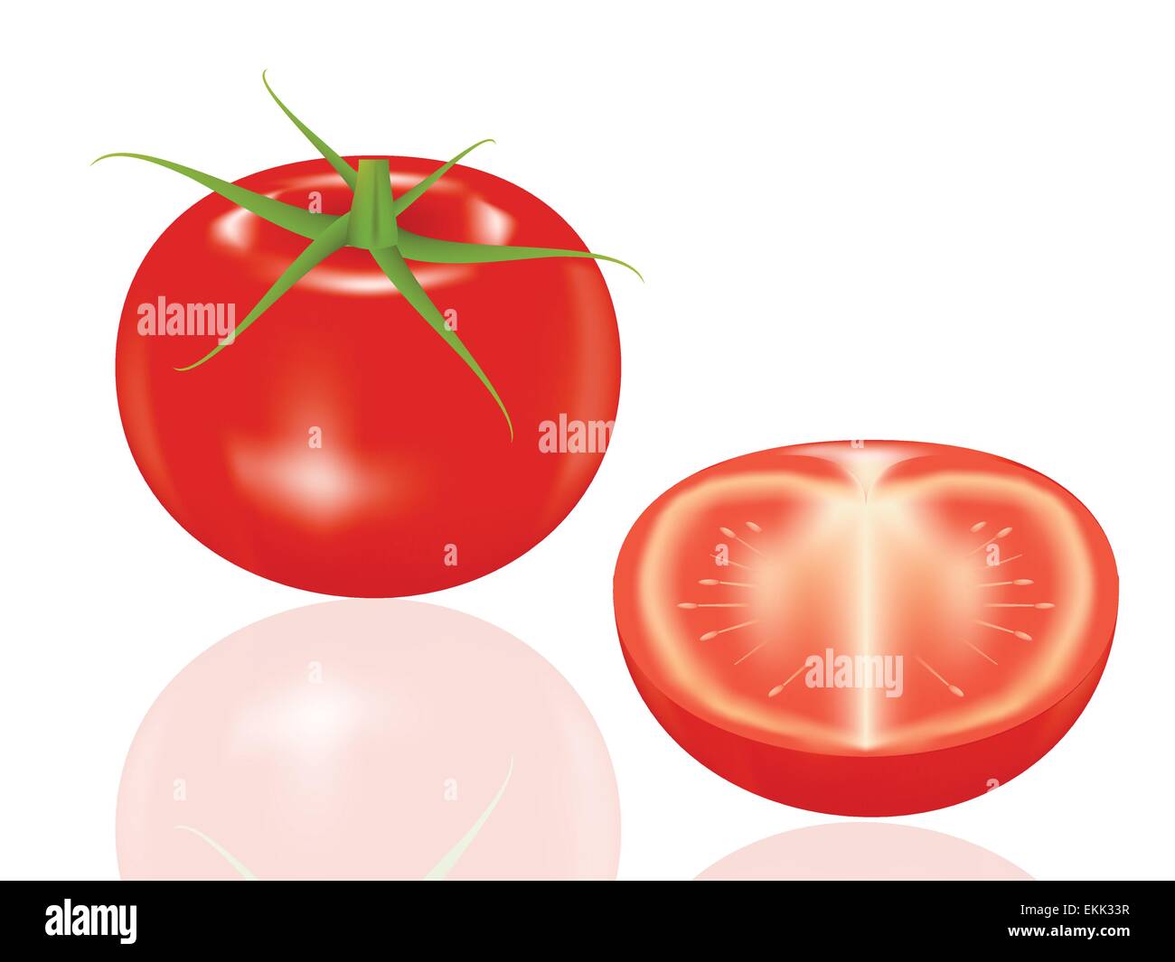 Cut half tomato vector drawing hi-res stock photography and images - Alamy