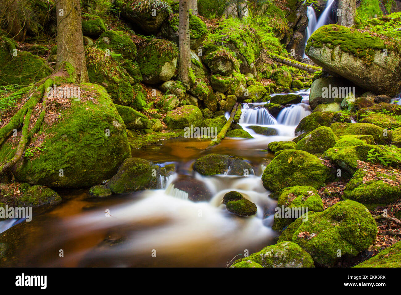 River with small waterfalls in a gorge, Ysperklamm, Lower Austria ...