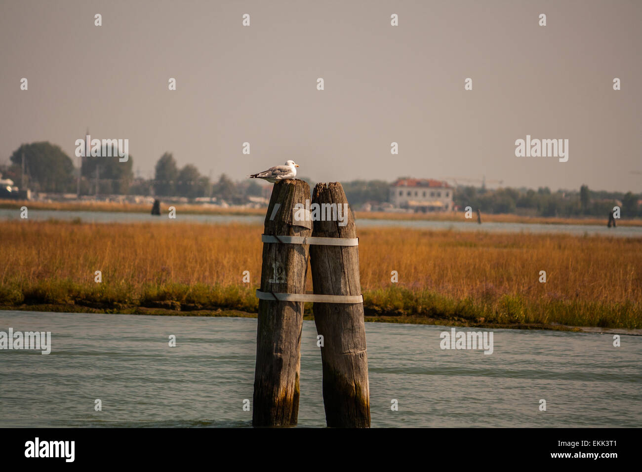 Venetian Lagoon , Venice , Veneto , Italy Stock Photo - Alamy