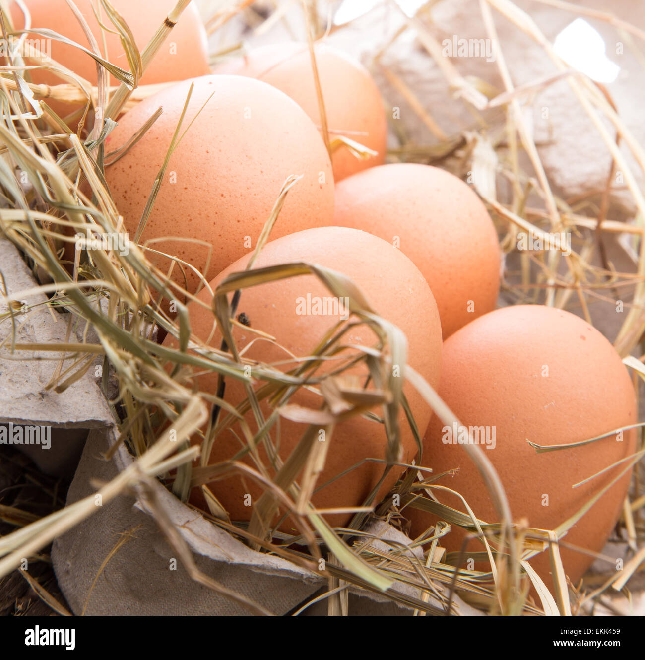 Hay box cooking hi-res stock photography and images - Alamy