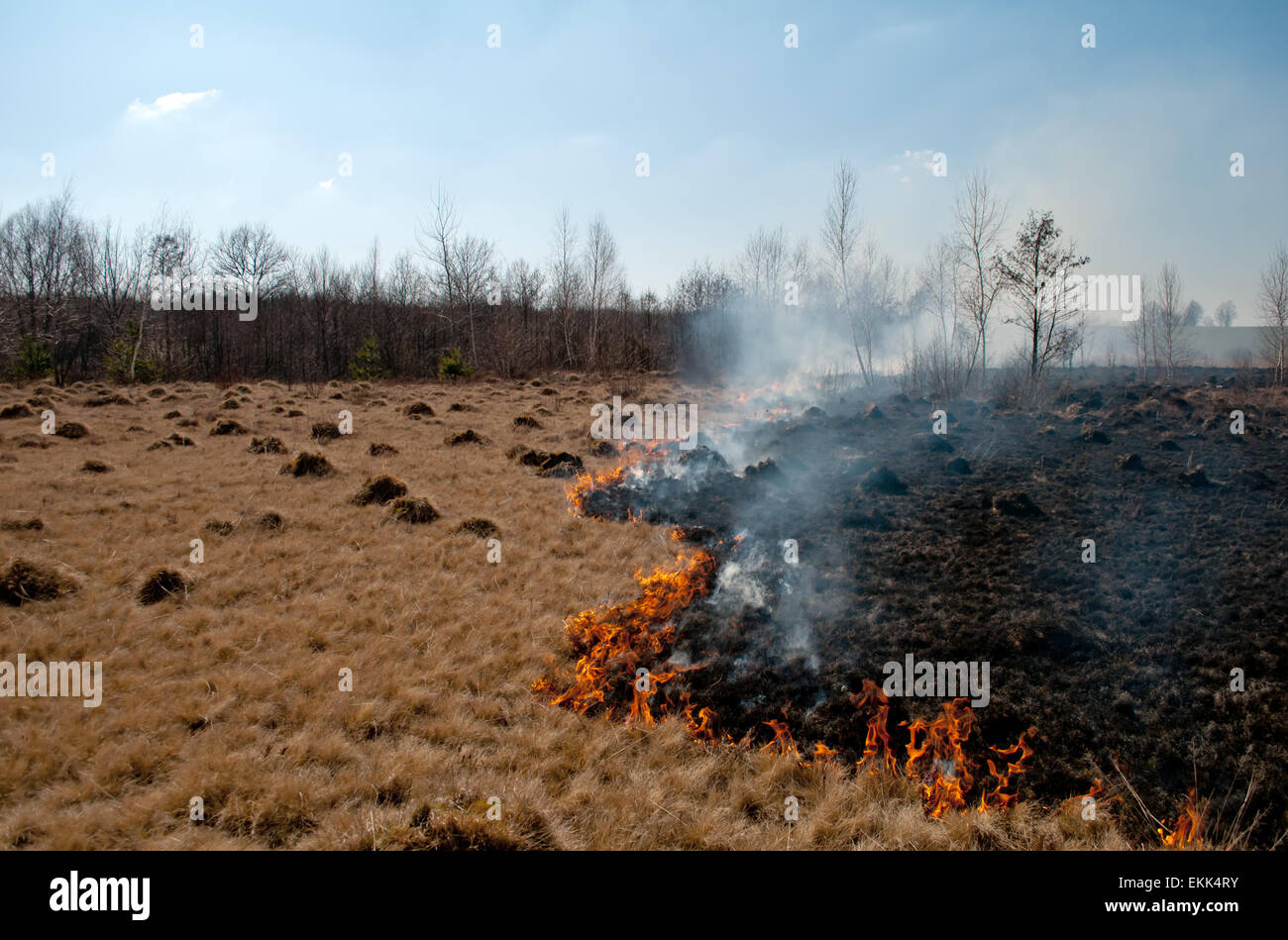 fire on spring field Stock Photo - Alamy