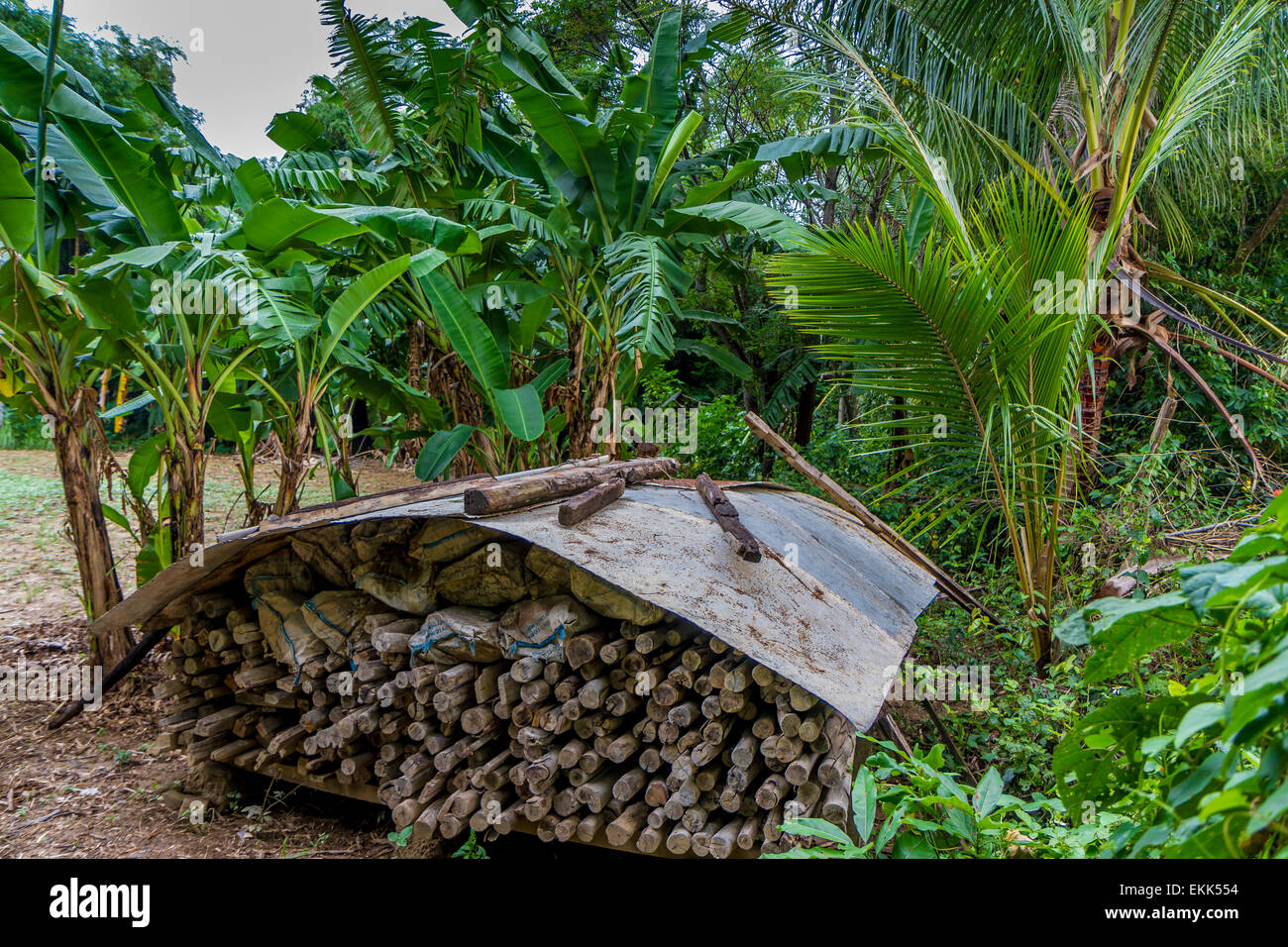 Drying timber hi-res stock photography and images - Alamy