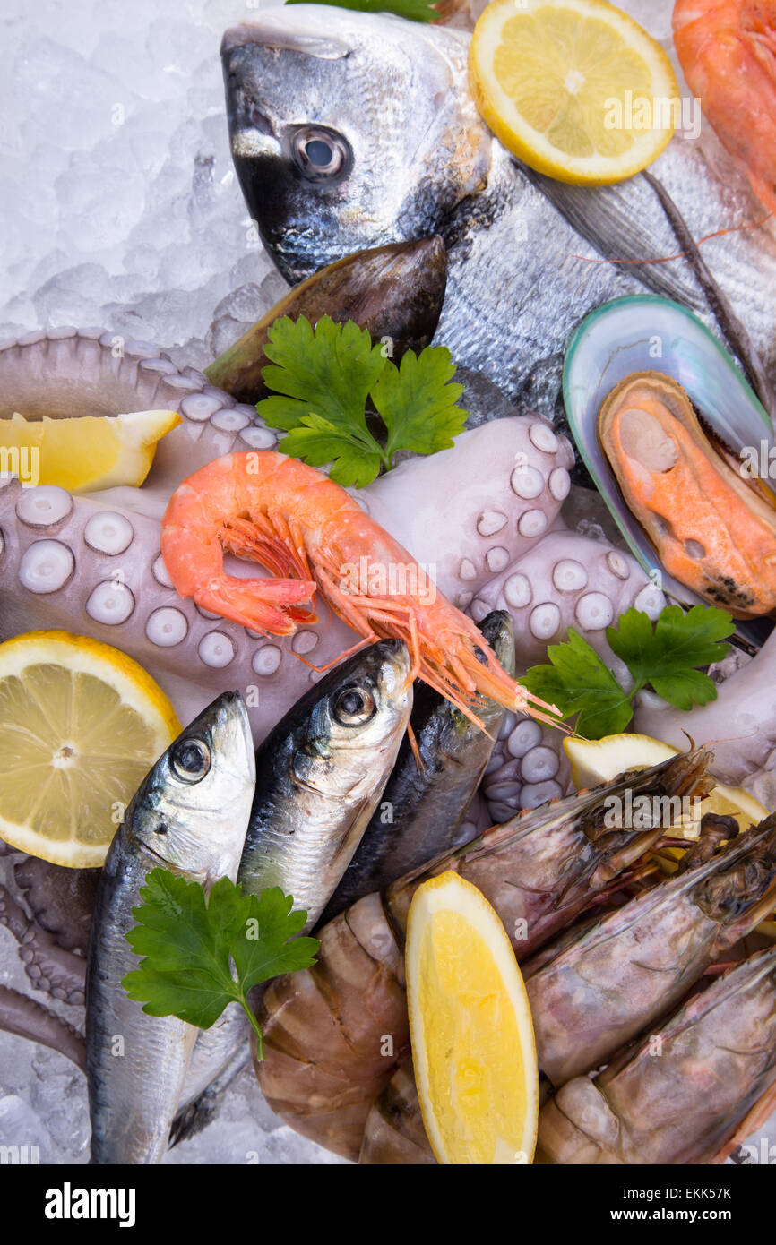 Fresh seafood on ice, close-up Stock Photo - Alamy