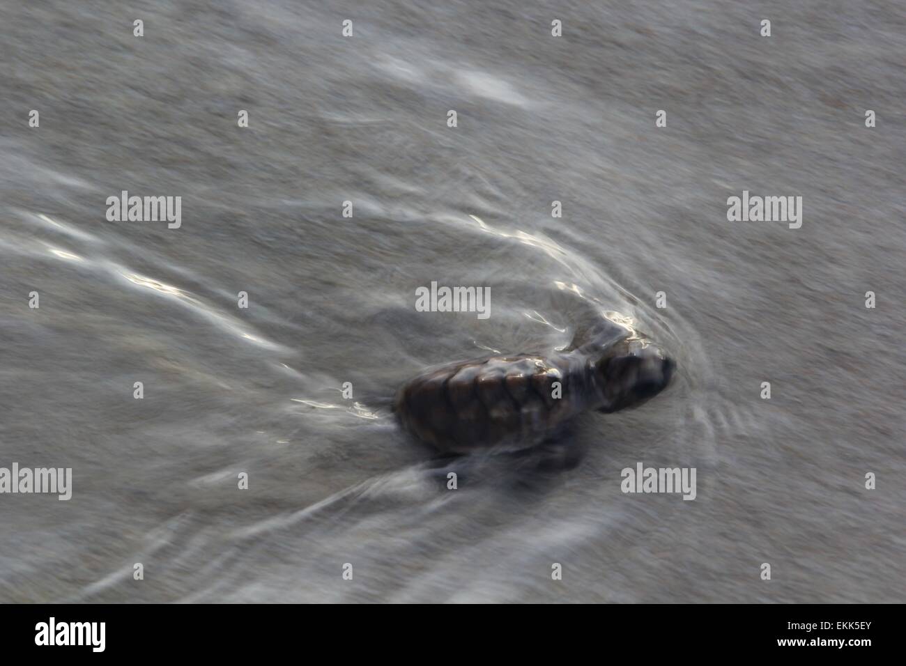 Bintan, Riau Islands, Indonesia. 10th Apr, 2015. BINTAN, INDONESIA ...