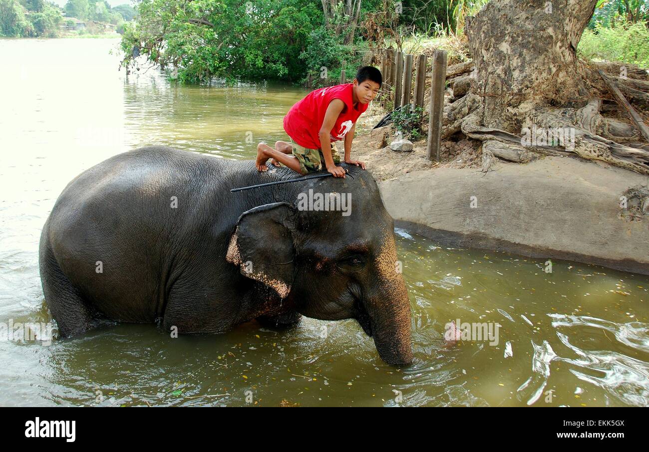 Ayutthaya, Thailand: Young Thai boy riding atop his elephant as it ...