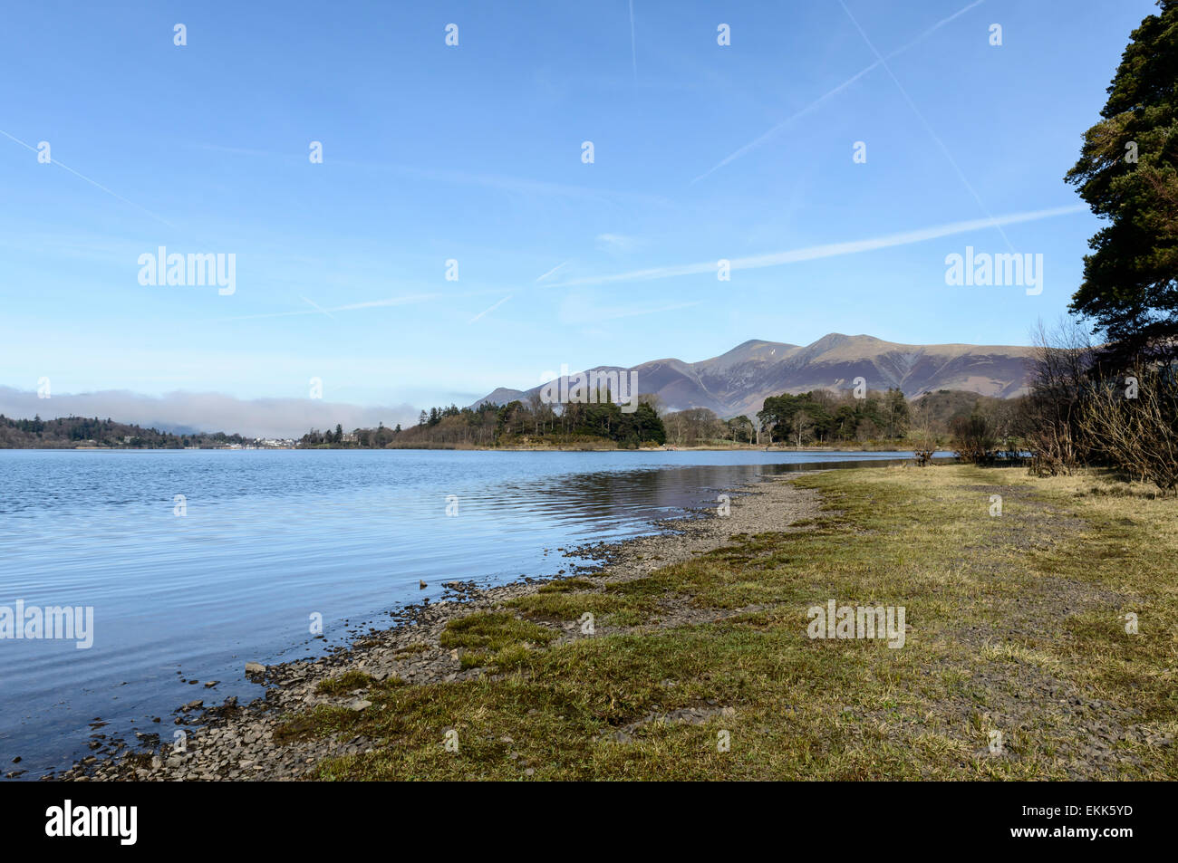 Derwentwater tree hi-res stock photography and images - Alamy
