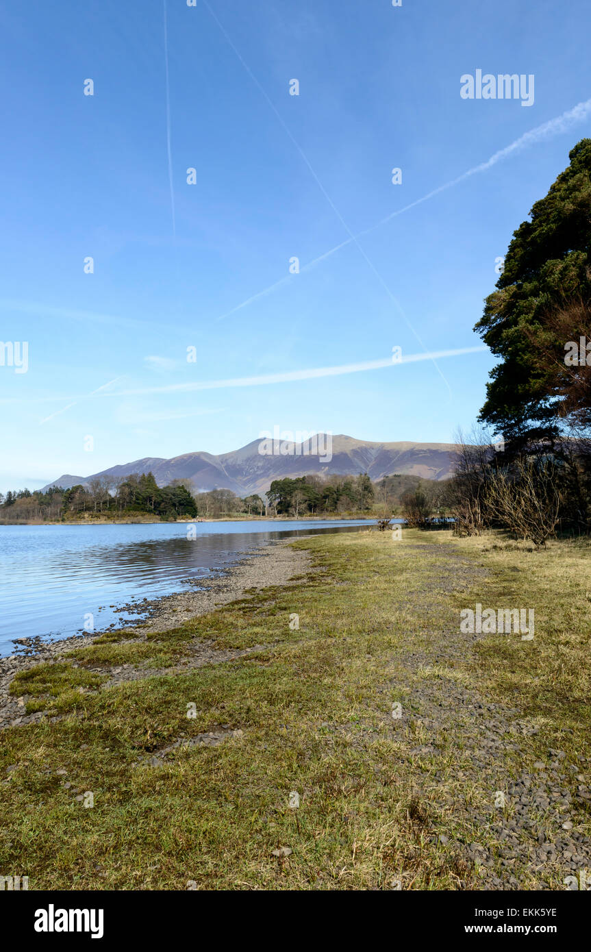Derwentwater tree hi-res stock photography and images - Alamy