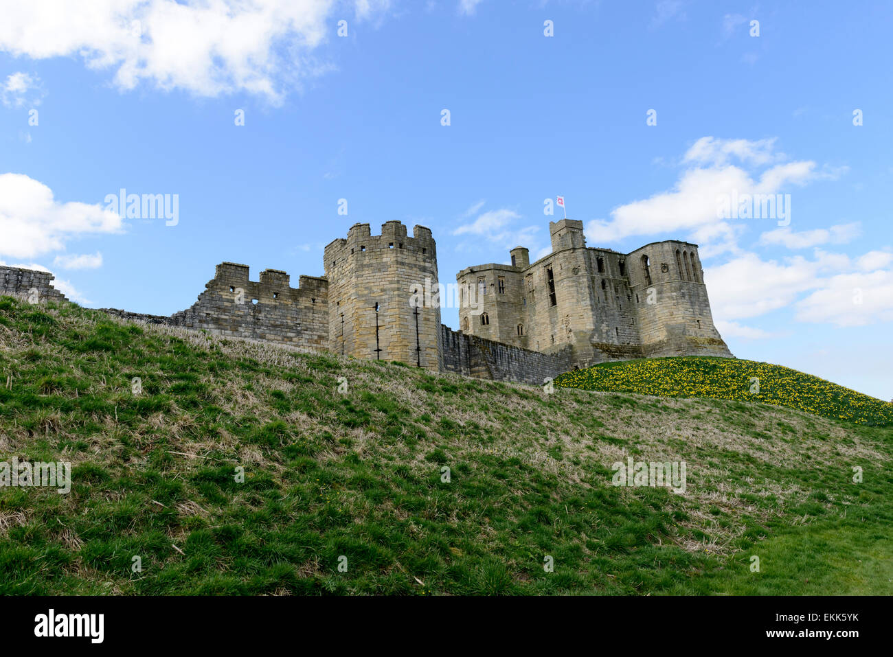 Warkworth castle daffodil hi-res stock photography and images - Alamy