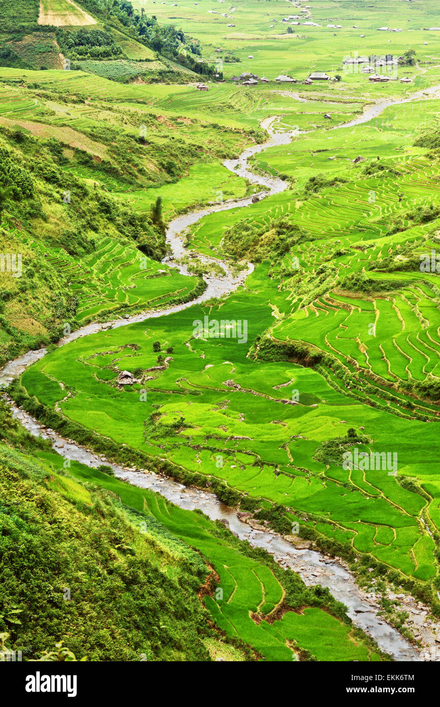 Mountain valley with a river flowing among rice fields Stock Photo - Alamy